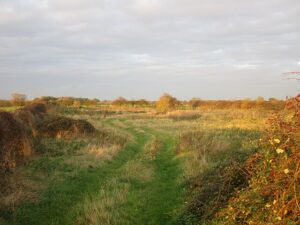 The Basics of Getting Free Land with Unclaimed Land Maps